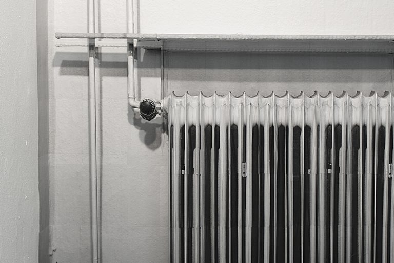 Exhibitions | Sinta Werner