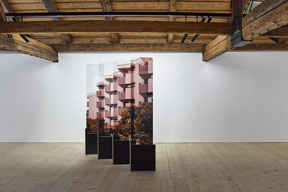 Exhibitions | Sinta Werner